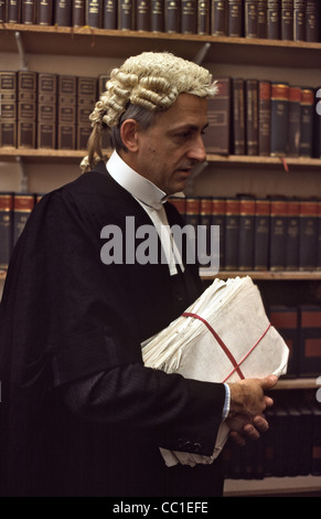 Barrister in wig and gown male Stock Photo - Alamy