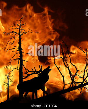 illustration of the deer running away from fire in wood Stock Photo ...