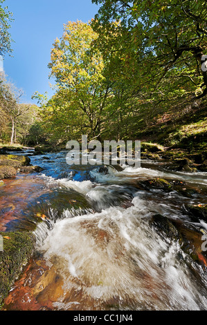 Wild river rapids in the country in 2005, analog. Fast, strong, and ...