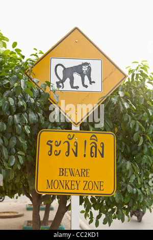 Beware: Monkey Zone Sign warning drivers about free running Crab-eating ...