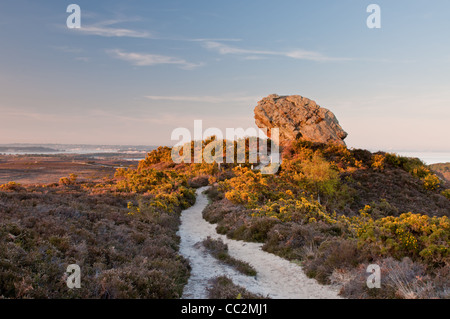 Agglestone Rock Studland Dorset Stock Photo - Alamy