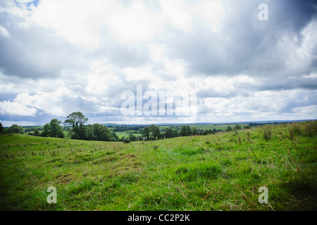 Ireland, County Westmeath, landscape with pasture Stock Photo - Alamy