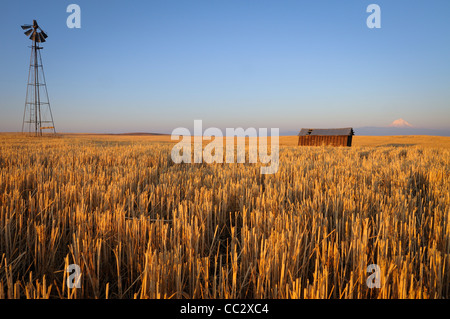 USA, Oregon, Wosco county, Rural scene with solitary barn Stock Photo ...