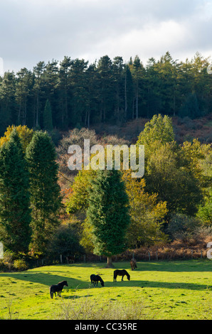 Gorbea, Biscay, Basque Country, Spain Stock Photo - Alamy