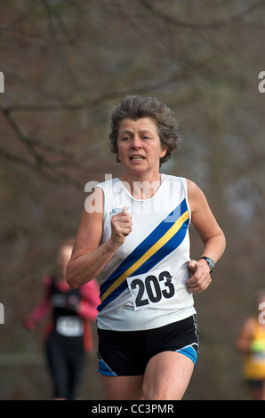 Senior athletic runner on a cross country race. Outdoor circuit ...