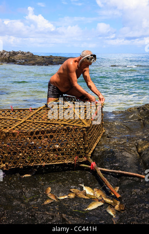 Local fisherman using traditional methods of fishing with a wicker ...