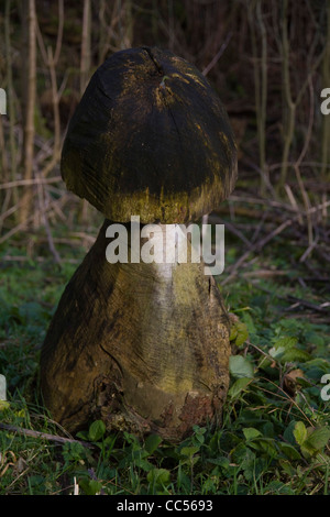 The remains of a lime kiln at Craighall Den near Ceres in Fife ...