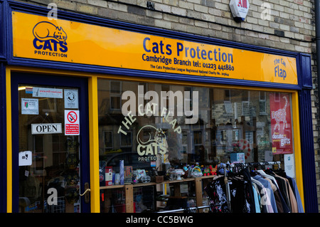 Cats Protection Charity Shop Sign Board Swindon Town Centre Stock Photo ...