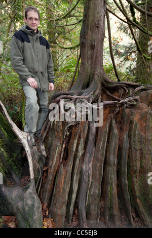Autumn in Goldstream park. Victoria, BC, Canada Stock Photo - Alamy