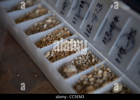RC Drilling Rock Chips Stock Photo - Alamy