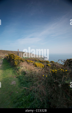 Wheal Prosper engine, Rinsey Head, Cornwall Stock Photo - Alamy