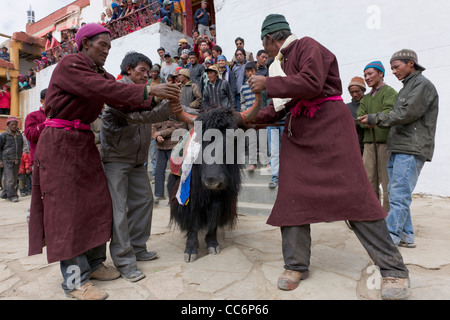 Changpa nomad pilgrims restraining monastery yak in Korzok Gompa ...