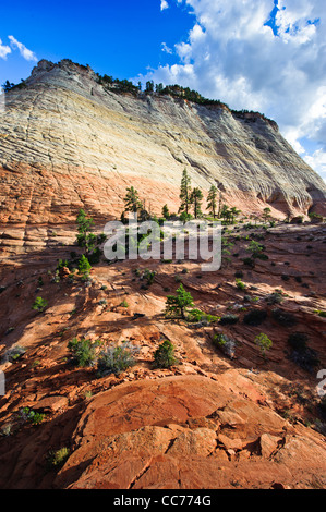 Checkerboard Mountain in Zion National Park, Springville, Utah, USA ...
