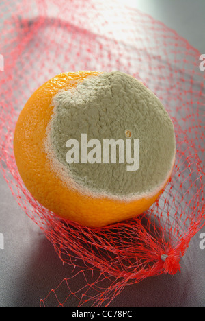 Fruit ; Orange decaying rotten fungus formed on skin of orange Stock ...