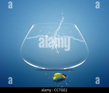 angelfish jumping out of fishbowl Stock Photo - Alamy