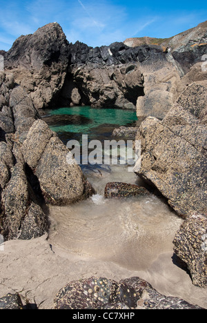 Rockpool and Seaweed Cornwall England Stock Photo - Alamy