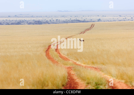 Tracks in The Marienfluss Namibia Stock Photo - Alamy