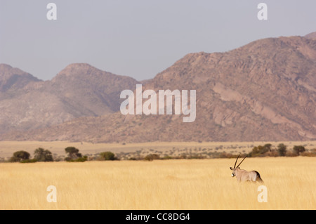 Marienfluss mountains Kaokoland Kunene region Namibia Africa Stock ...