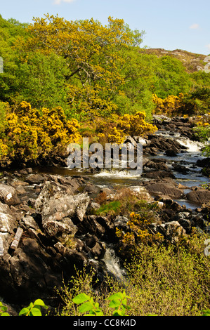 Inchnadamph River, A894 South,Inchnadamph is a hamlet in Assynt ...