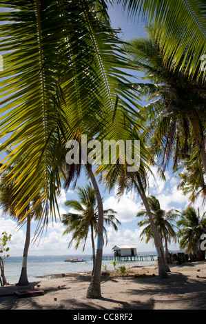 France, French Polynesia, Tuamotu, pearl pear shaped neckplace with a ...