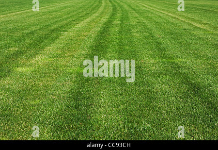 Freshly mowed lawn Stock Photo - Alamy