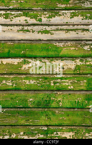 texture of vertical green boards Stock Photo - Alamy