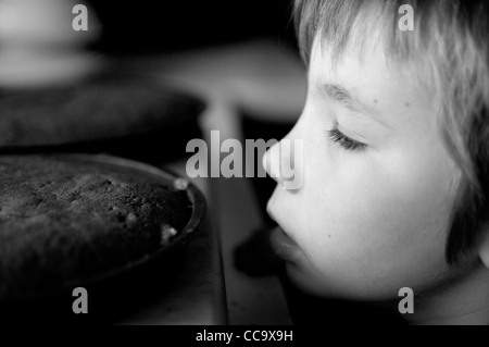 child smelling, looking at a chocolate cake straight out of the oven ...