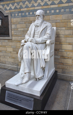 Charles Darwin statue in Central Hall, Natural History Museum, Cromwell ...