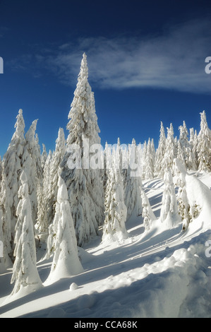 Winter in Slovakia Stock Photo - Alamy
