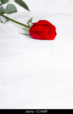 Rose on satin Stock Photo - Alamy