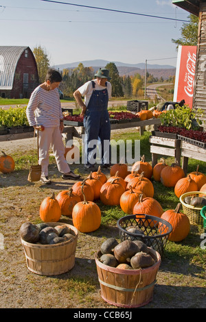 Eden Vermont farm stand pumpkins for sale Stock Photo - Alamy