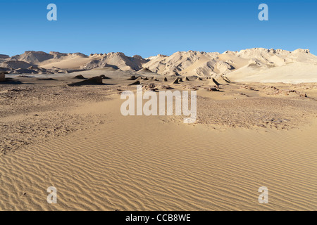 Mud Lion in yardang field Dakhla Oasis Egypt Africa Stock Photo - Alamy