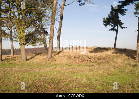 Tumulus prehistoric barrow Foxhall, Suffolk, England Stock Photo - Alamy