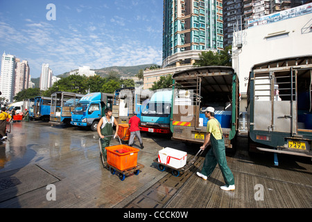 workers loading cartons of fresh fish and seafood into transport vans ...