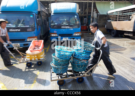 workers loading cartons of fresh fish and seafood into transport vans ...