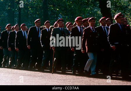 Veterans of the Parachute Regiment at the Armistice Day (Remembrance ...