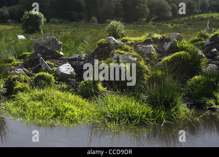 Surroundings of Lough Melvin, County Leitrim, Connacht, Ireland, Europe ...
