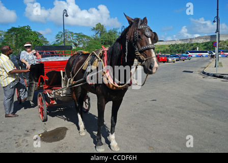 Horse-drawn carriage, Havana, Cuba Stock Photo - Alamy