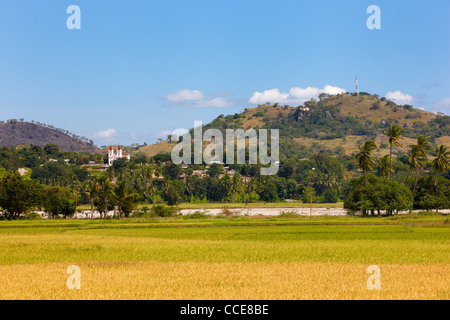 Rice fields; Timor-Leste Stock Photo - Alamy