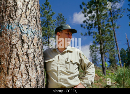 US Forest Service Patch Stock Photo: 104788339 - Alamy
