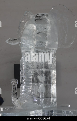 Elephant in Ice. An ice sculpture of an elephant's trunk. Winterlude ...