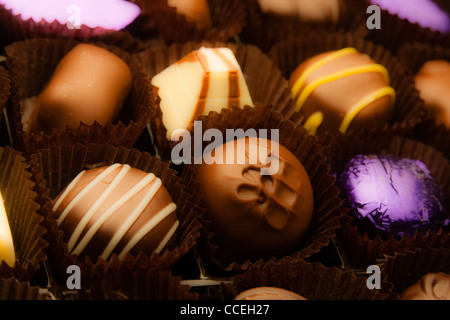 Assorted chocolates in box on a white background Stock Photo - Alamy