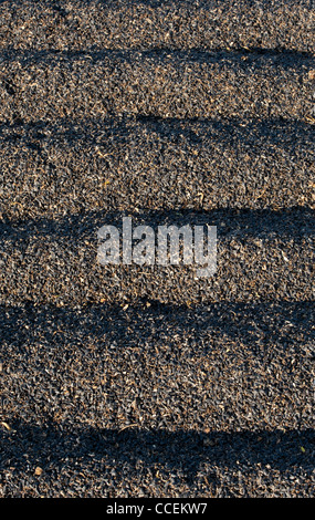 Harvested sunflower seeds drying in the sun on an Indian country road ...