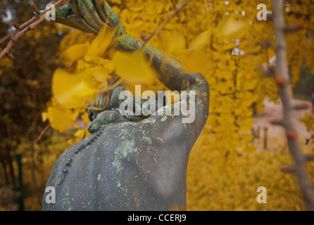 Ginkgo Biloba centenary of the Botanical Garden., Ginkgo Biloba tree ...