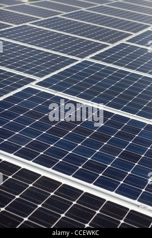 Solar cell panels array with plant leaves surface isolated on white ...
