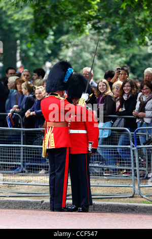 Officer of the Irish Guards in bearskin hat (busby) with old fashioned ...