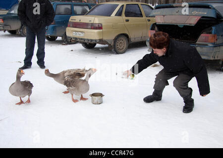 Traditional geese fighting in the town of Tula just about 180 km out of ...