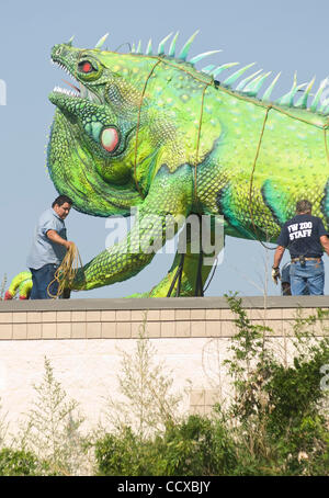 "Iggy", a forty foot long sculpture of an iguana created by Texas ...