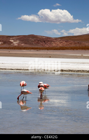 Salt hotel on the Bolivia's Salar de Uyuni, the world's largest salt ...