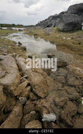 Burren National Park Stock Photo - Alamy
